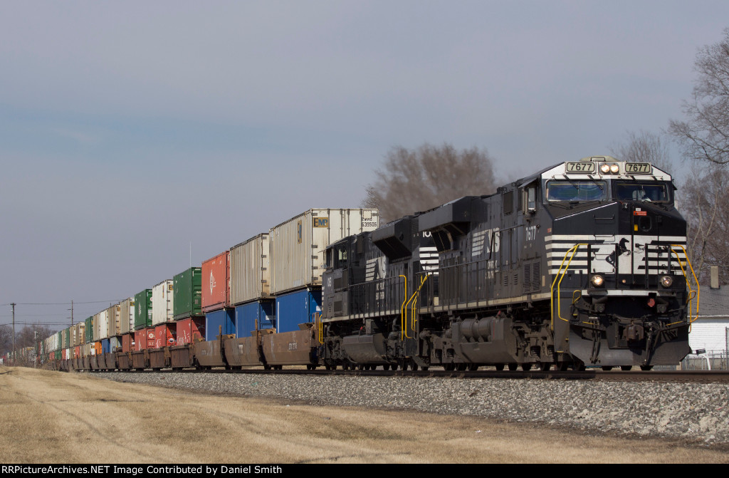 NS 7677 leads 295